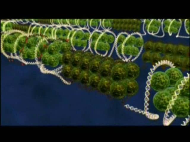 Ghost in the Genes on Vimeo