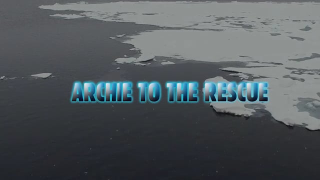 ADVENTURES OF ARCHIE THE ARCTIC FOX on Vimeo