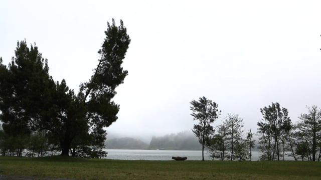 100+ Free Windy & Nature Videos, HD & 4K Clips - Pixabay