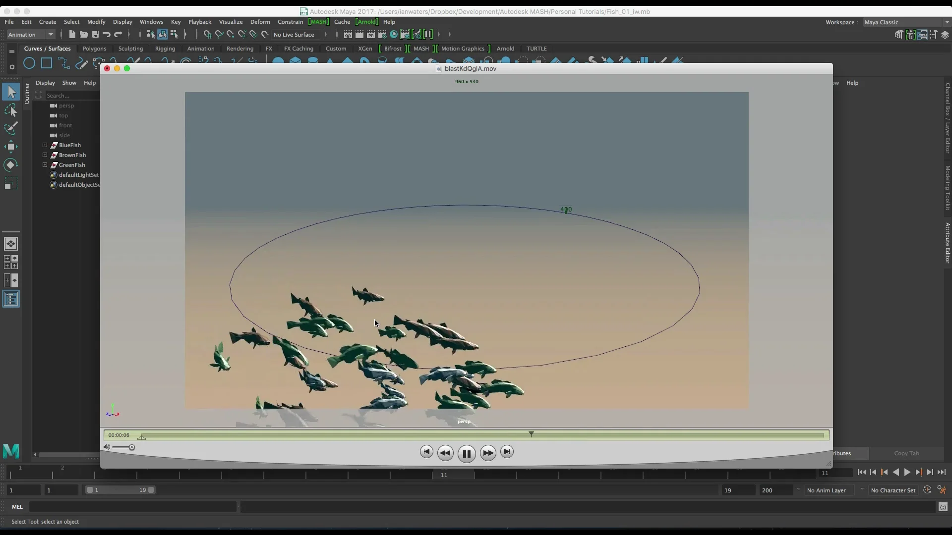 MASH - Schooling Fish with the Flight Node on Vimeo