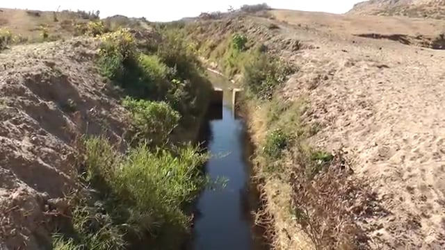 Diversion Weirs - TheWaterChannel