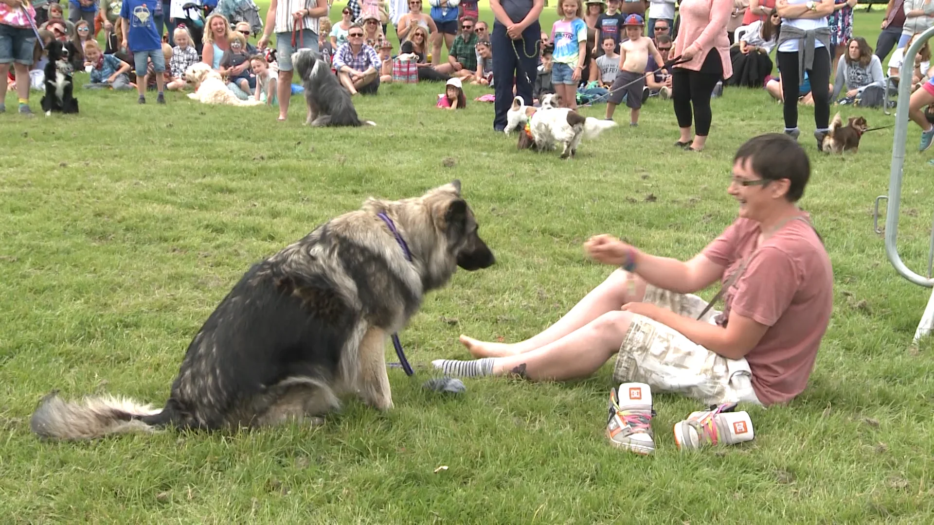 Dog Show Video on Vimeo