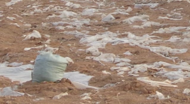 Plastic Pollution Project, an infographic film - TheWaterChannel