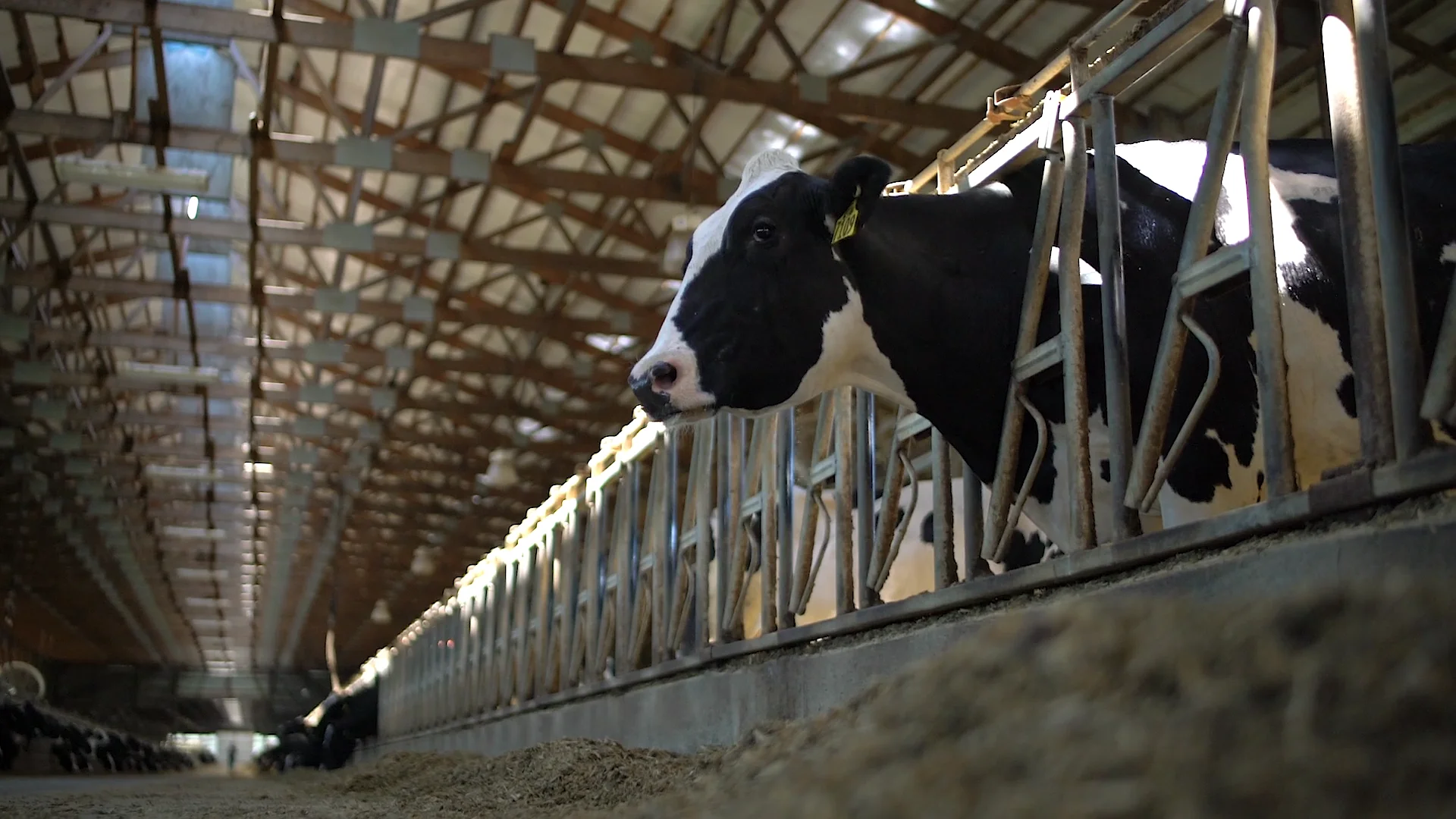 SoyChlor - Innovation on Vimeo
