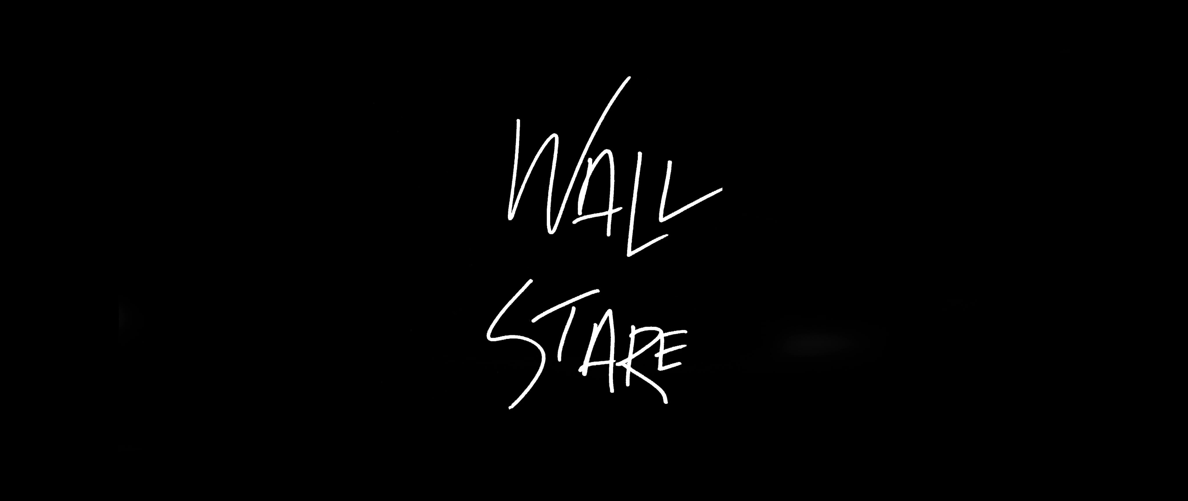 Wall Stare Indigogo Teaser on Vimeo