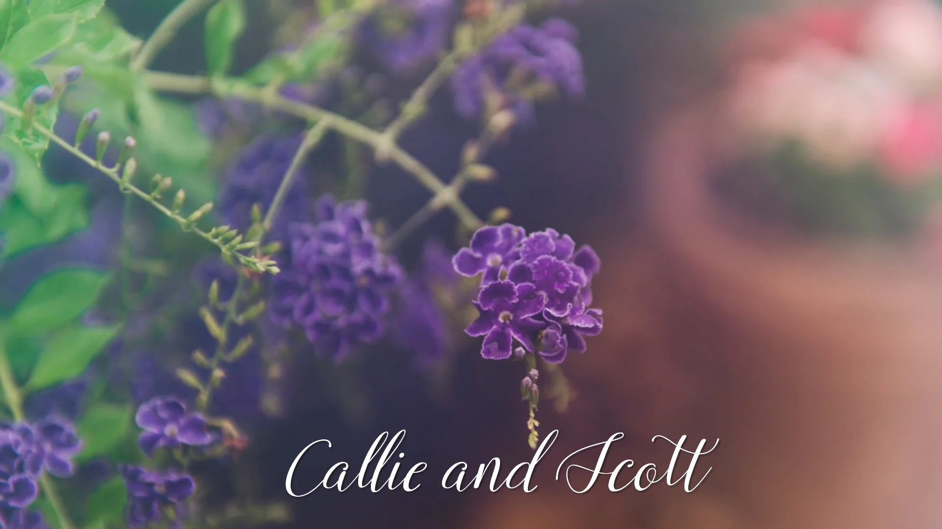 Callie and Scott Wedding Slideshow on Vimeo