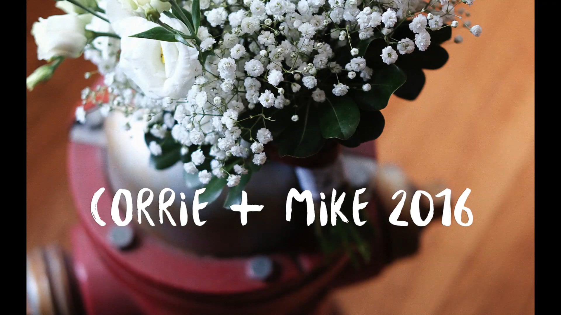 Corrie + Mike 2016 on Vimeo