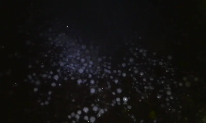 GRANIZADA DE SANTA ROSA DE LIMA EN MONTEVIDEO on Vimeo