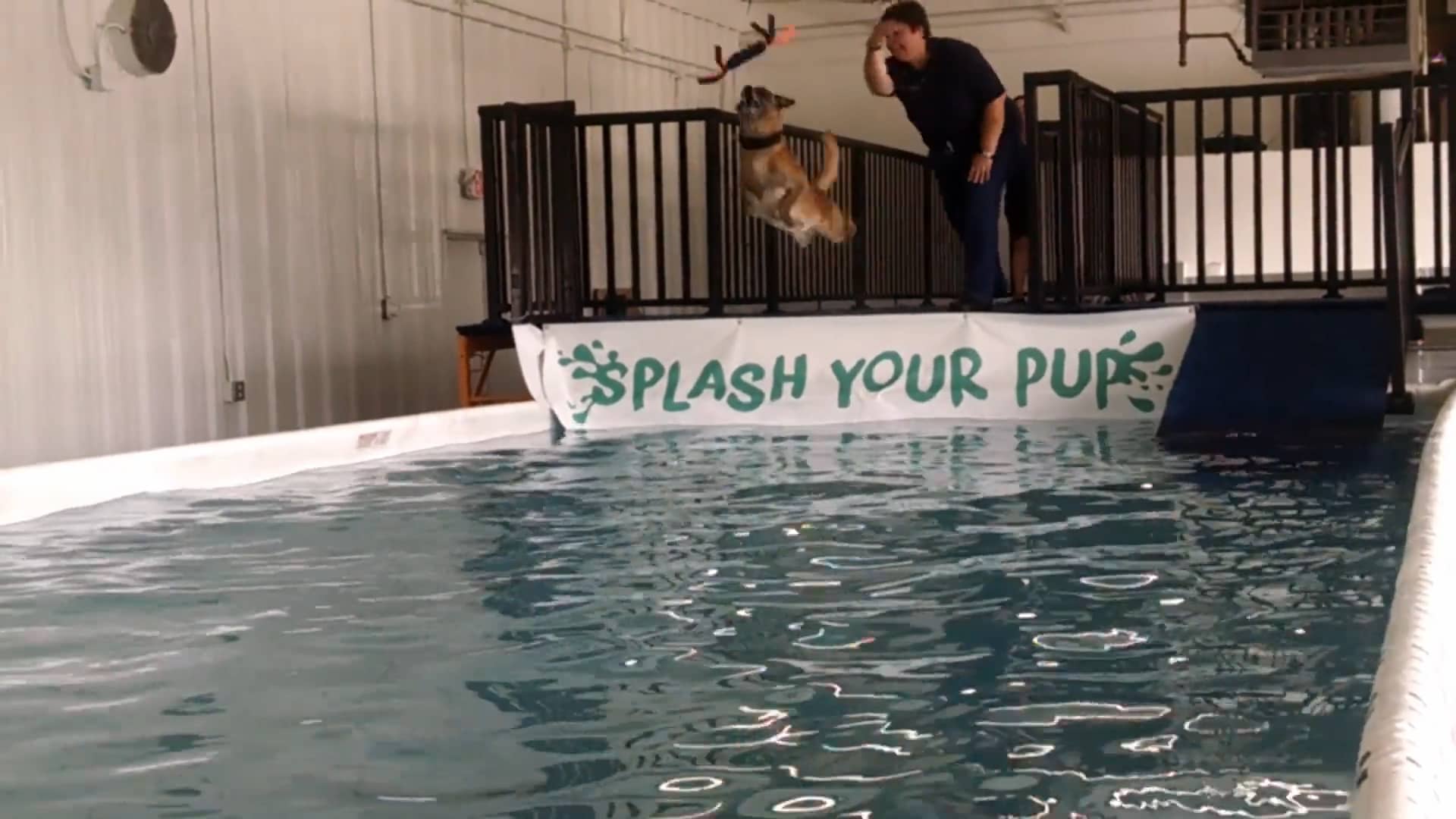 8-28-16 Dock Diving on Vimeo