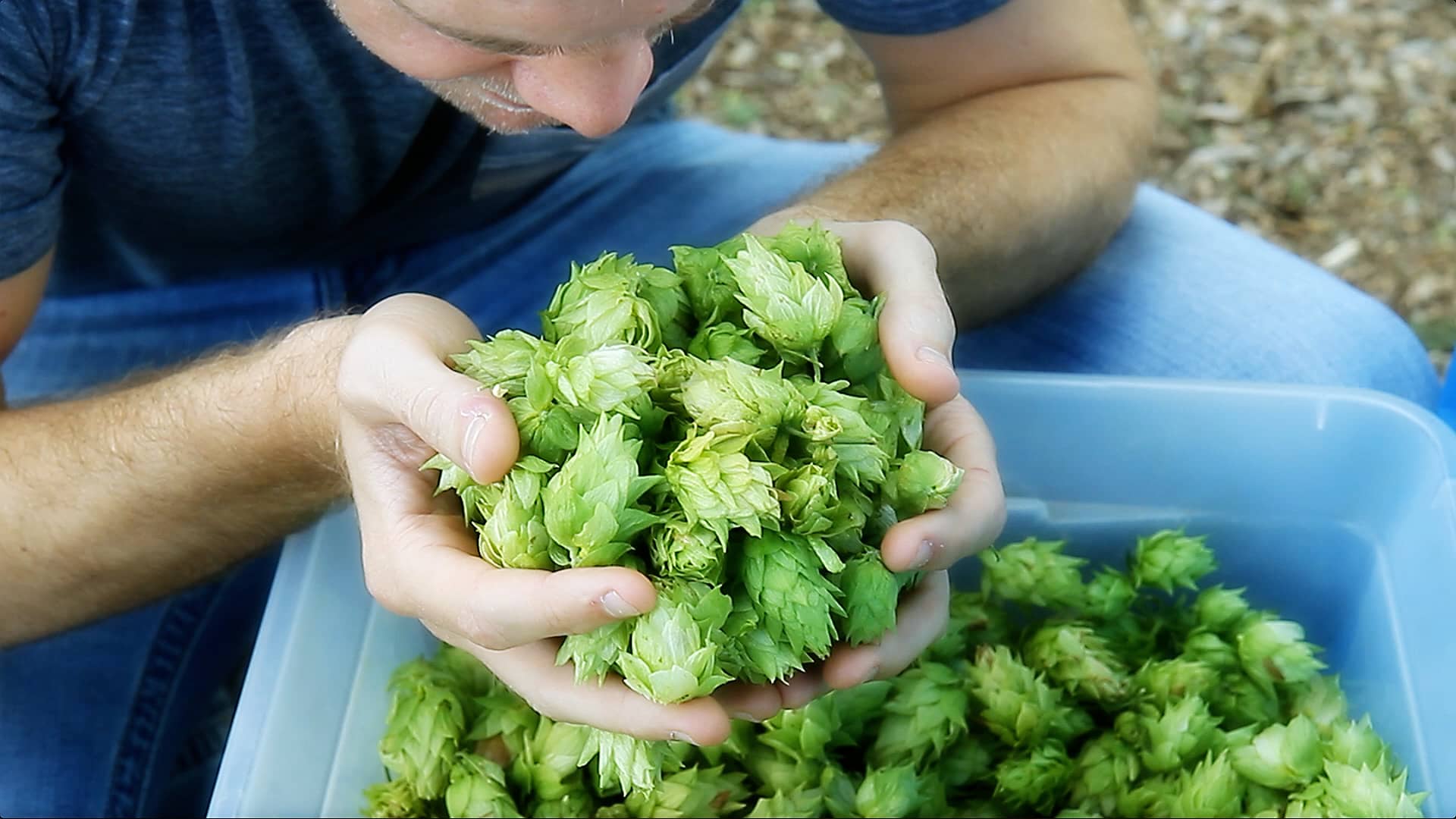 Pure Project - Everyday California: SanDiego Craft Beer Collaboration ...