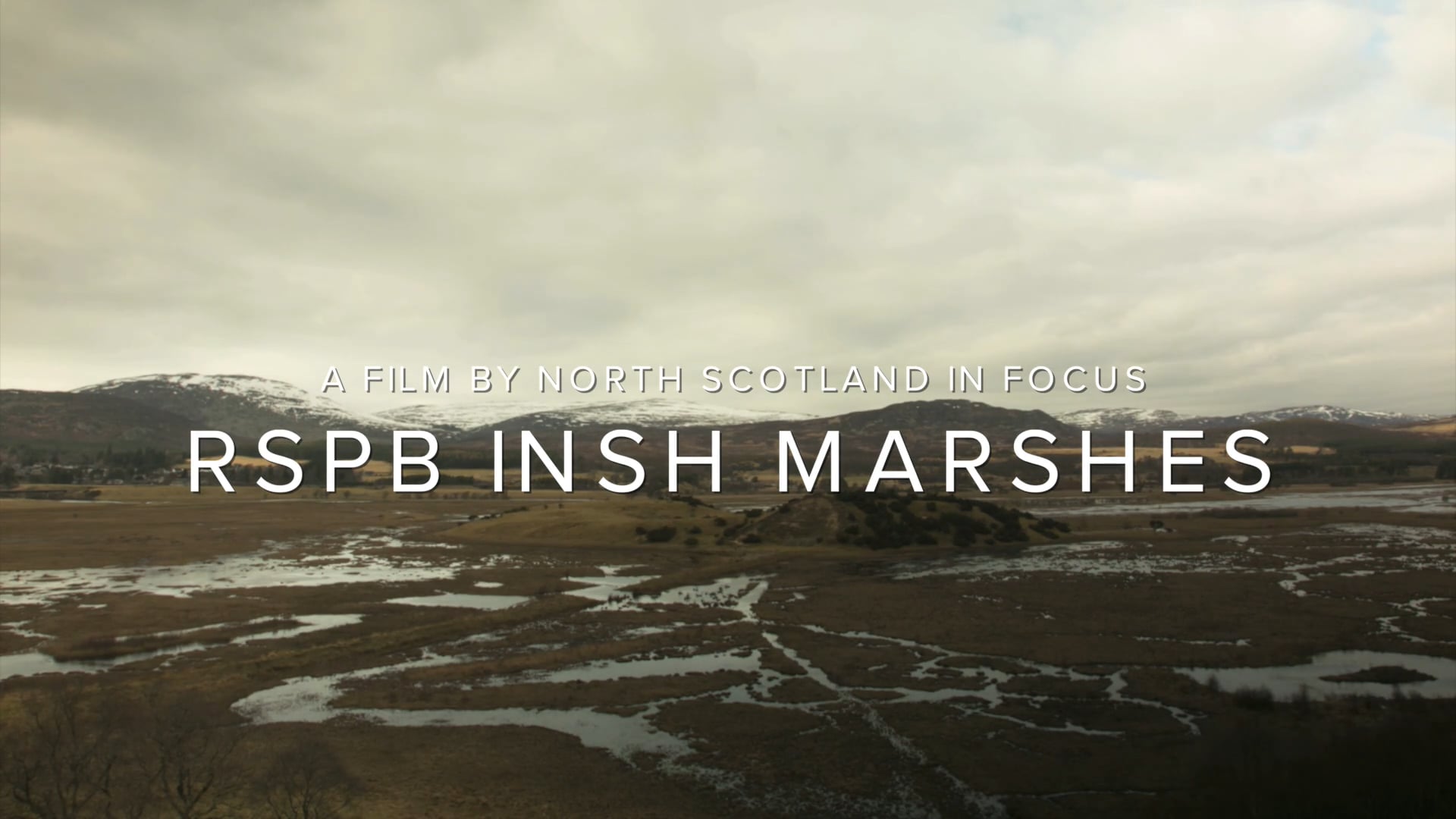 North Scotland In Focus - RSPB Insh Marshes on Vimeo