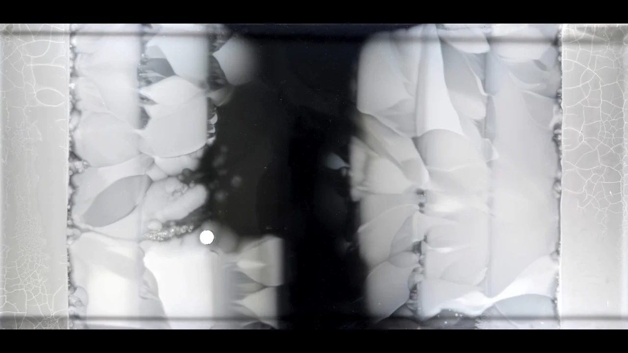 The Evolution of Bacteria on a "Mega-Plate" Petri Dish