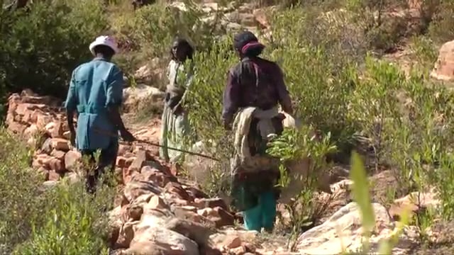 Stone Bunds - TheWaterChannel