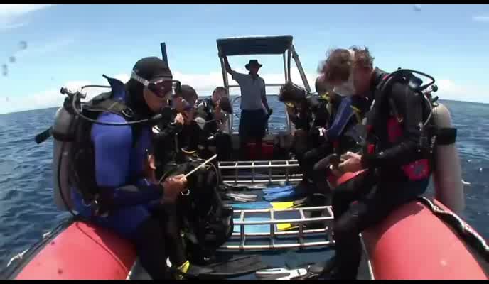 Diving Video on Vimeo