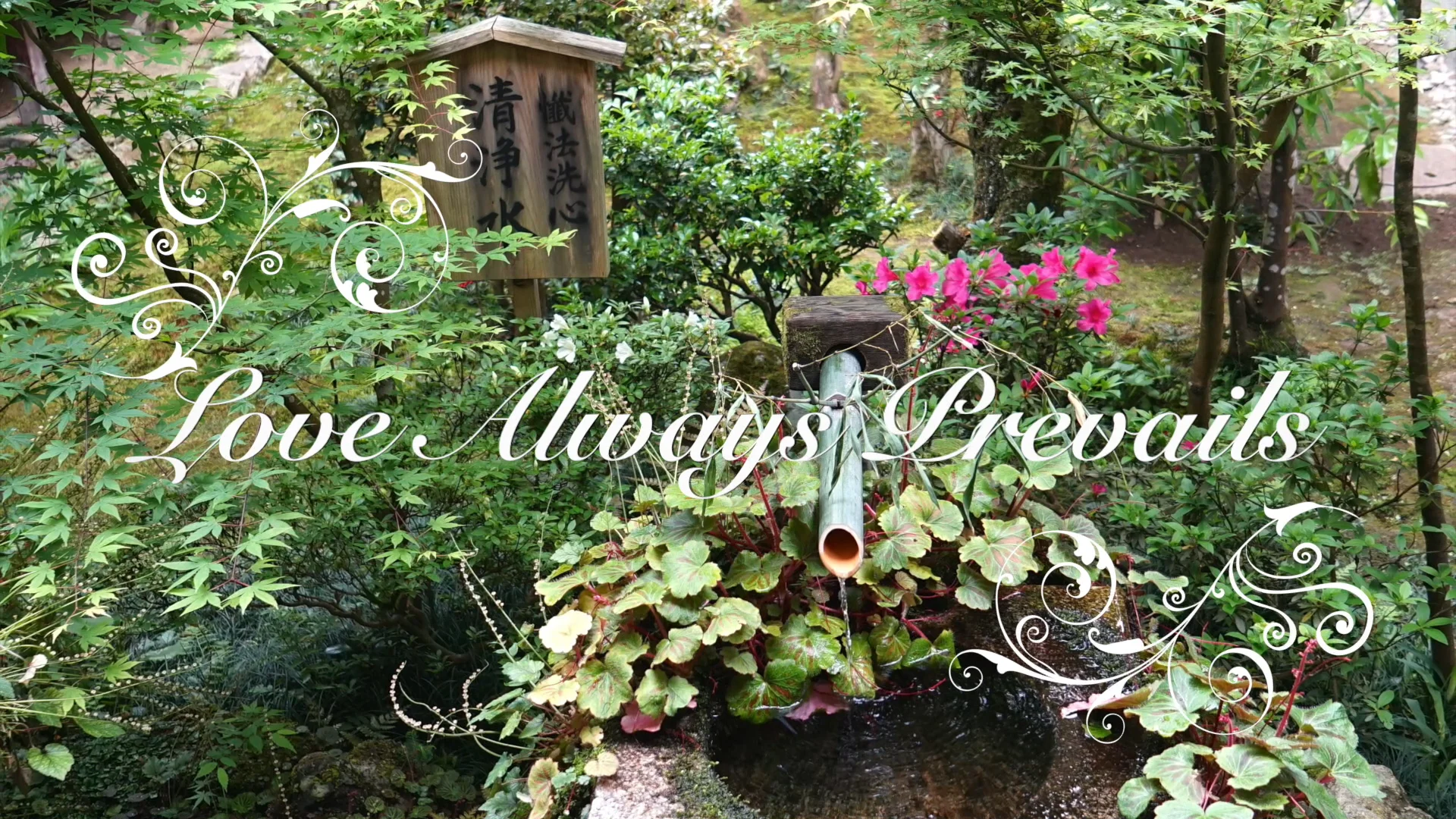 Dr. Jean Watson “Embodying Caritas-The Power of Words.” on Vimeo