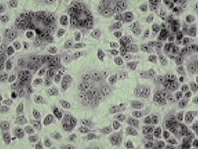 ESR Water Management Group — Science Learning Hub