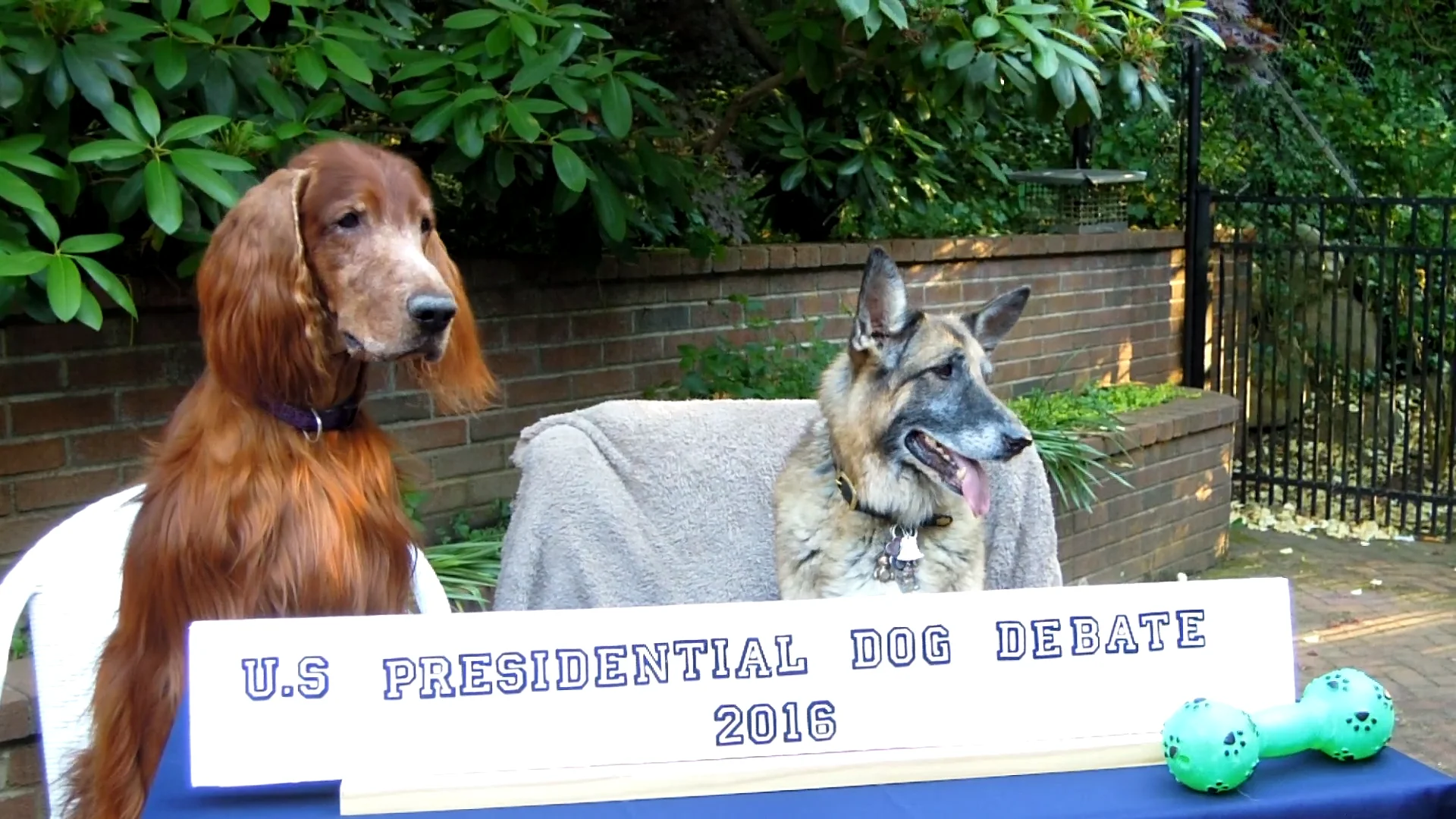 Presidential Dog Debate Trailer Sept 1 2016