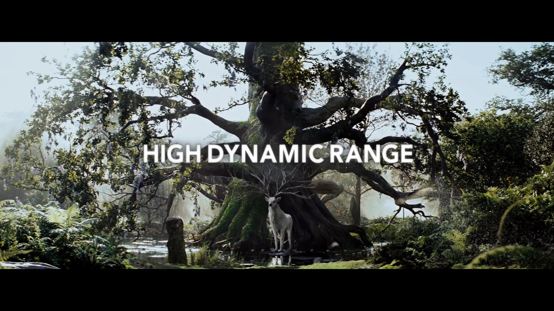 Universal 4K Reel - Finished in 4K - 3840x2160. Universal Pictures Home ...