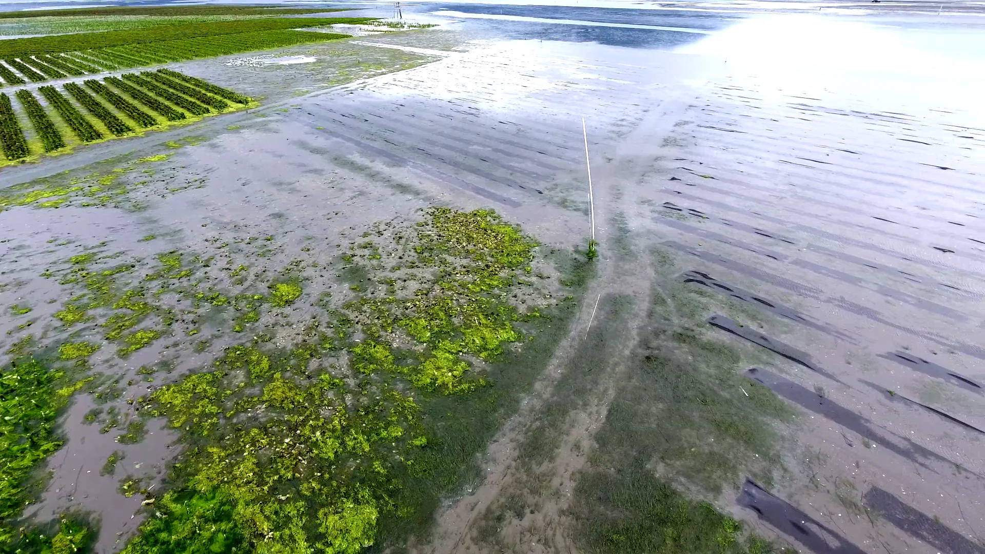 Samish Farm on Vimeo