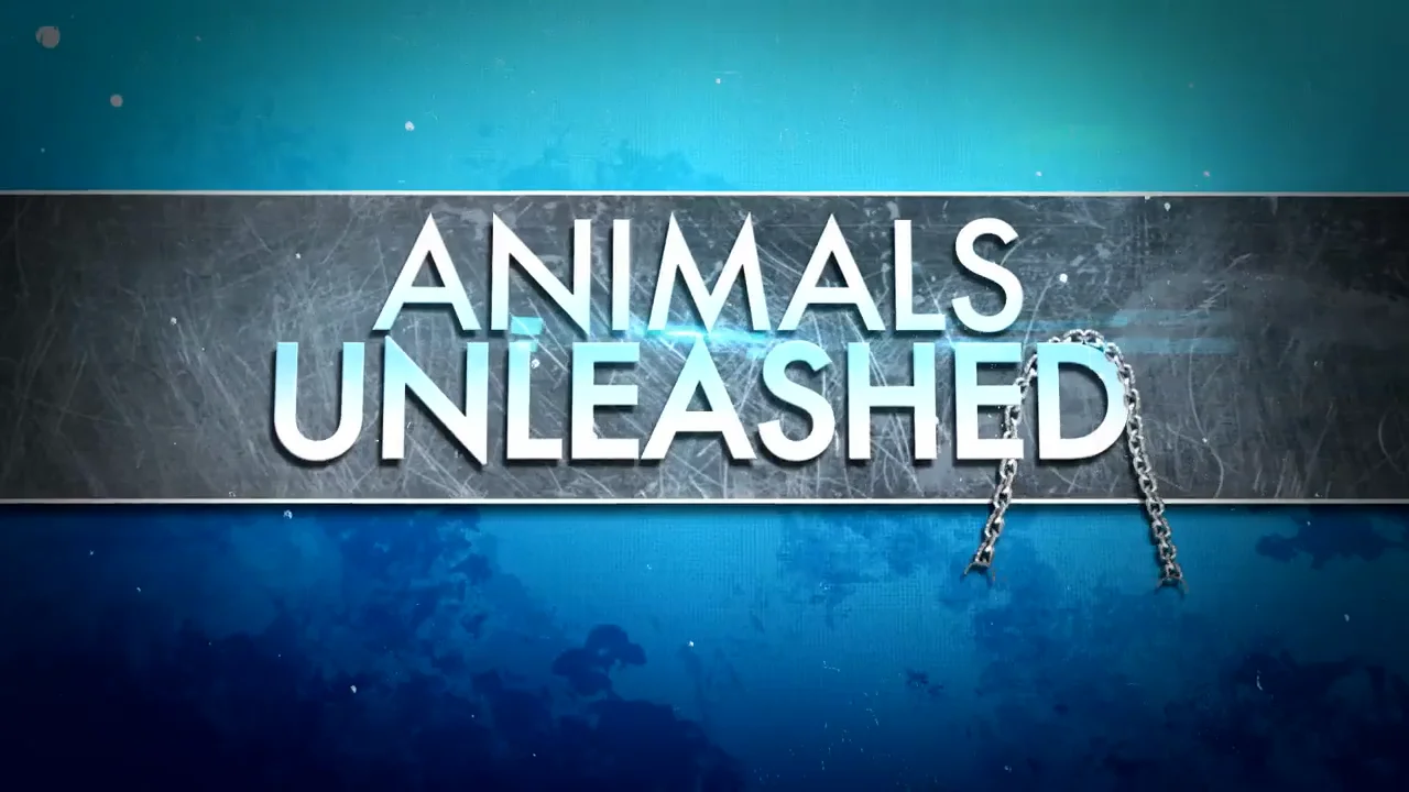 ANIMALS UNLEASHED - EPISODE 60 on Vimeo
