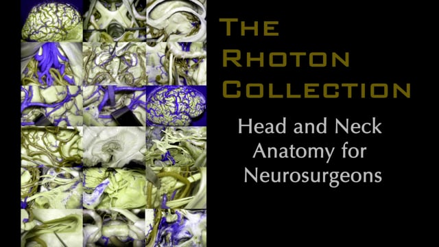 Rhoton Collection Lectures - 3D Anaglyph on Vimeo