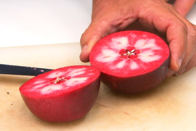 Breeding a new apple cultivar — Science Learning Hub