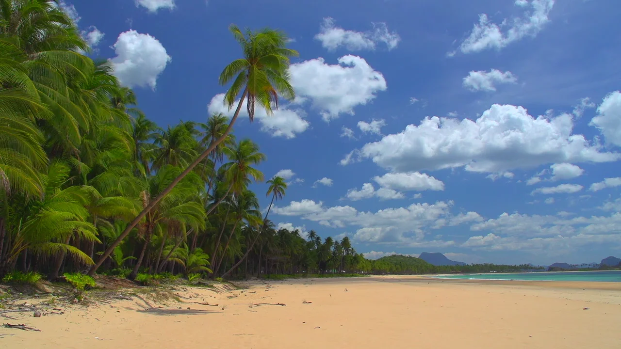 Tropical Beaches From World Best Hidden Pearl Sandy Beaches with ...