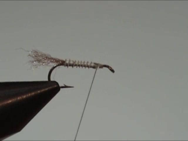 Fly of the Month - Callibaetis Emerger on Vimeo