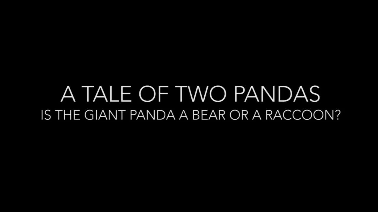 A Tale of Two Pandas (Rough v.3)