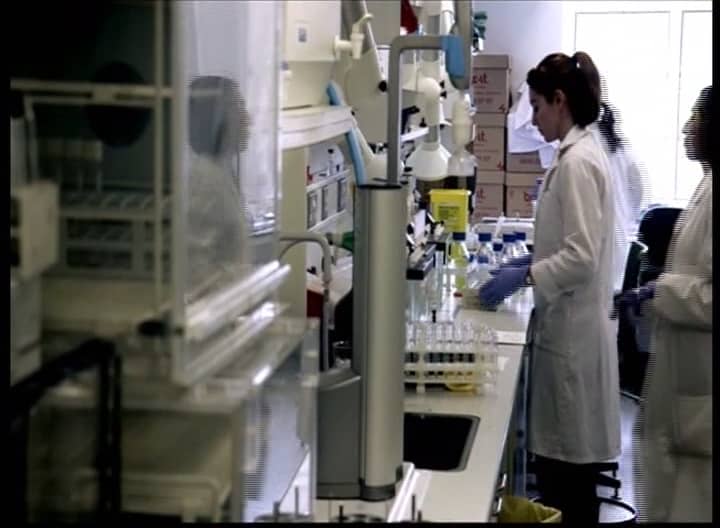 BBC Video: Harrison Pope, MD, Anabolic Steroids on Vimeo