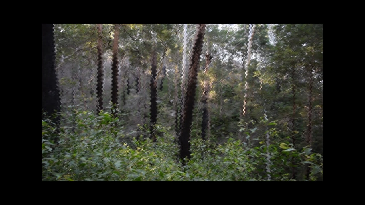 CAL on Vimeo