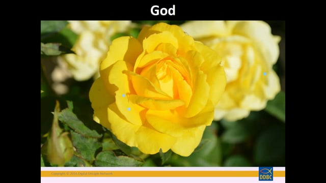 Digital Discipleship Boot Camp on Vimeo