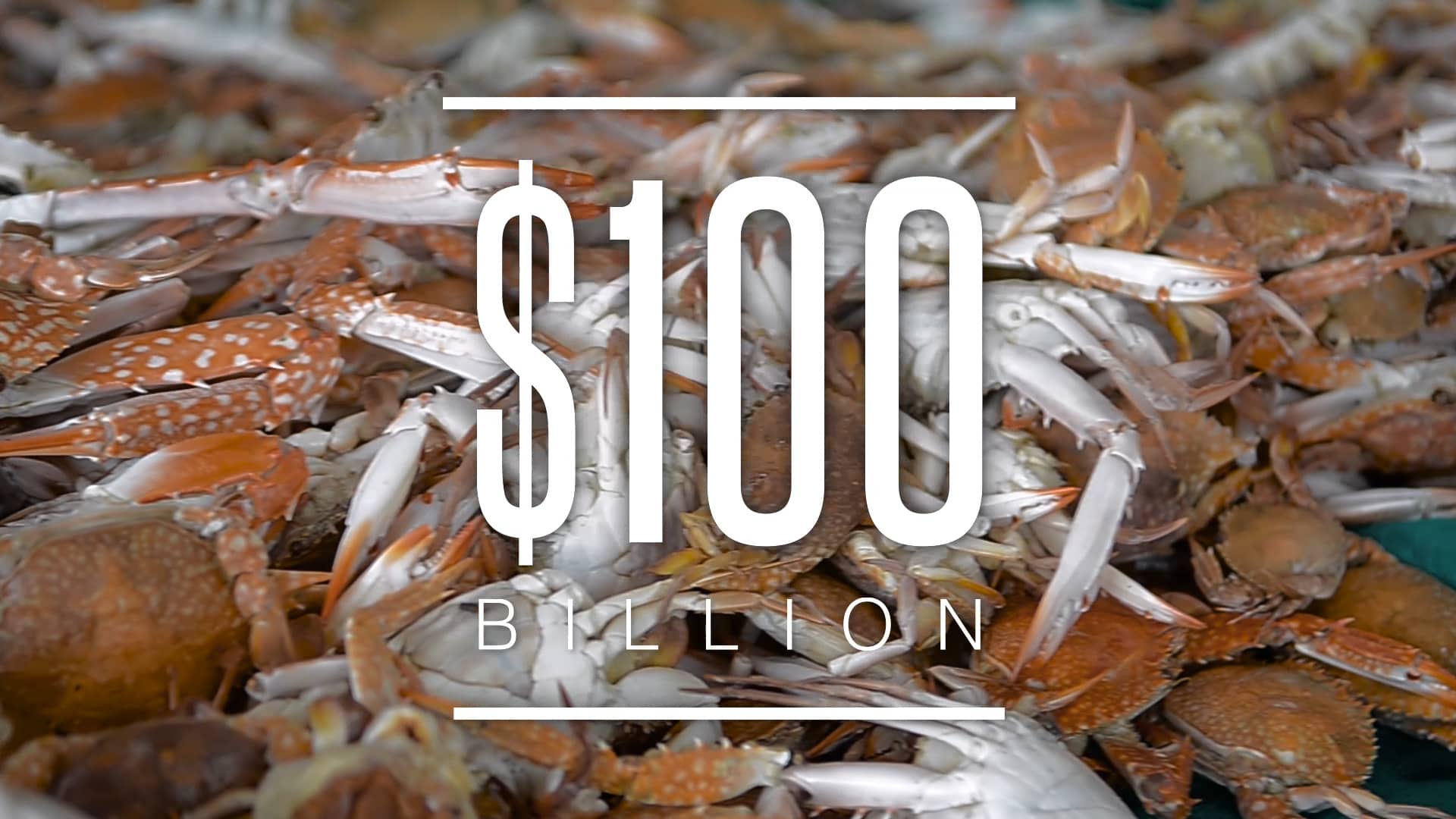 The Monterey Bay Seafood Watch Program presentation at : Our Ocean 2016 ...