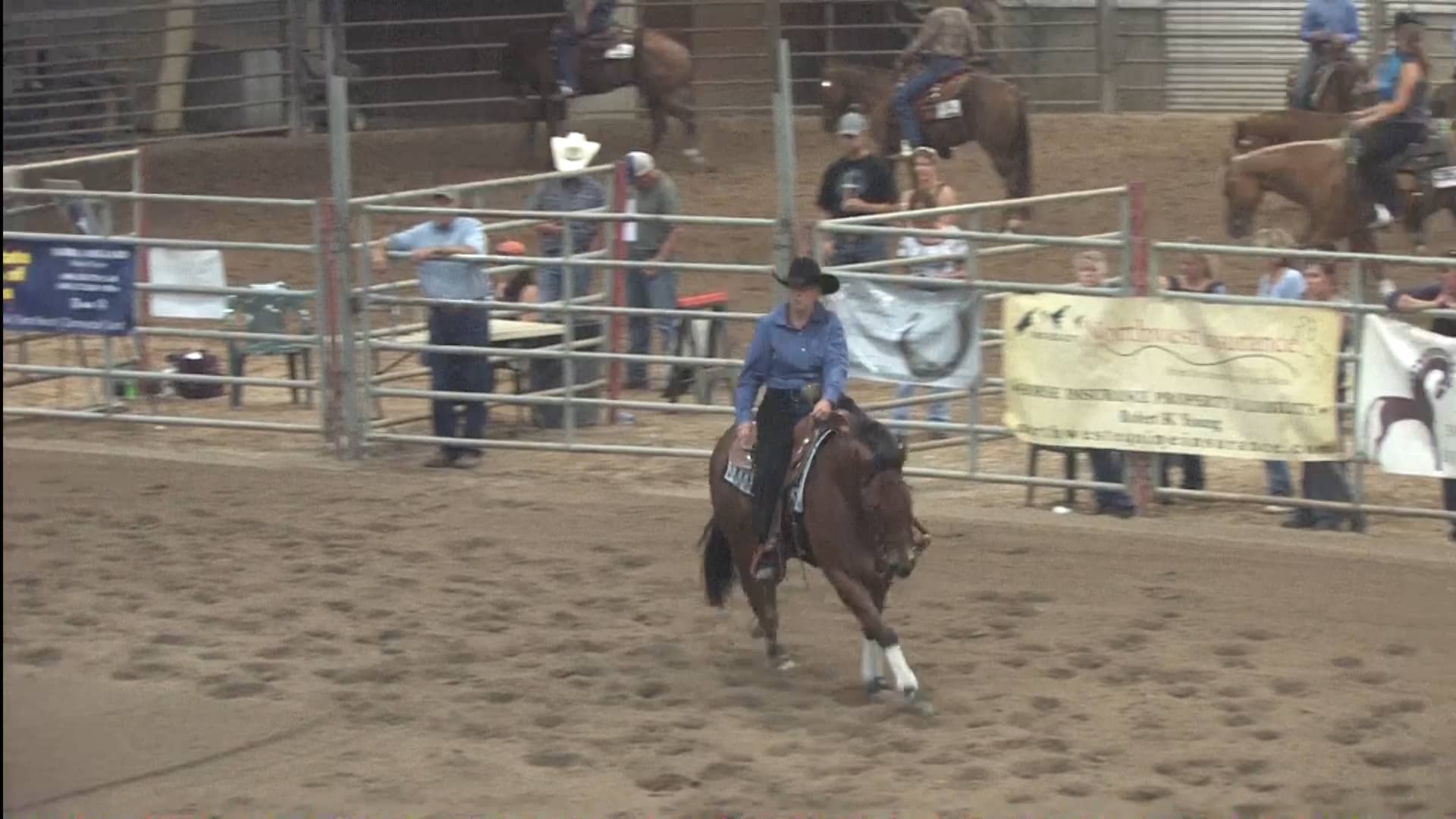 GOTTA RITZY WHIZ- 2016-08-27 - BSRC - NP Derby - Sue Chudy on Vimeo