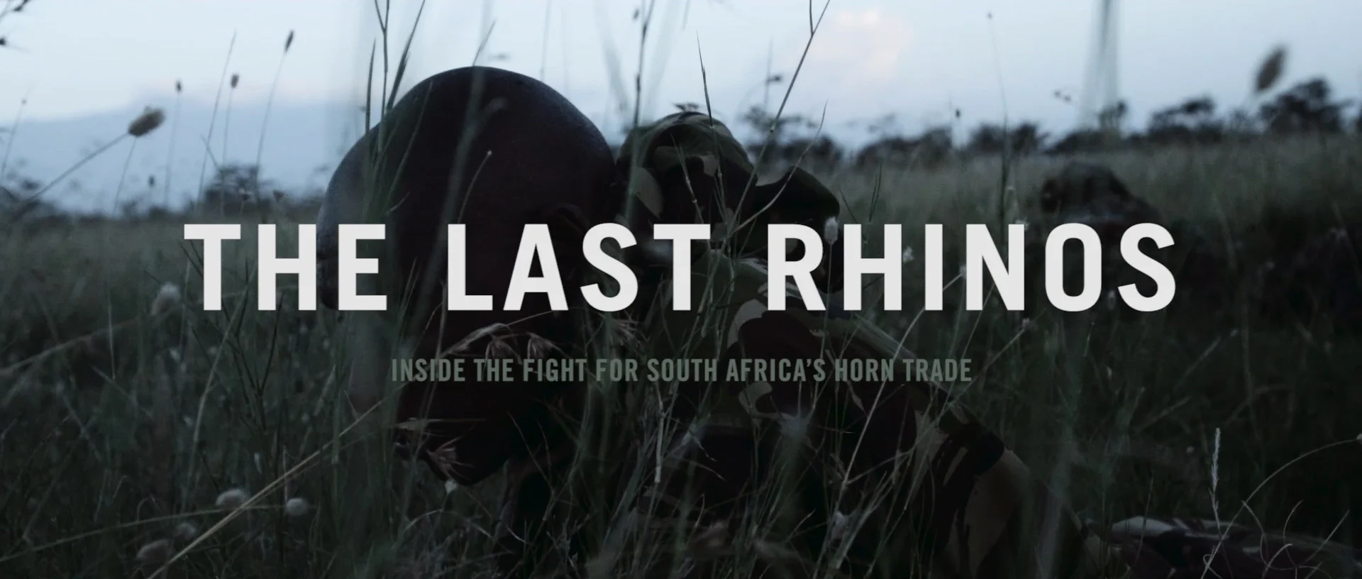National Geographic - The Last Rhinos
