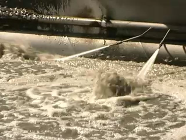 What is flocculation? — Science Learning Hub