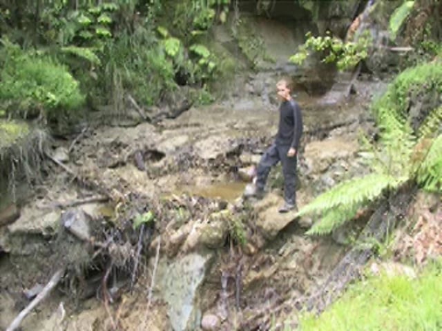 Ancient environments — Science Learning Hub