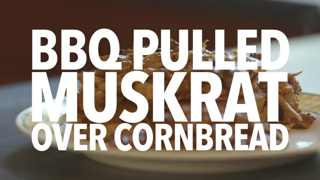 Muskrat Meat Recipes