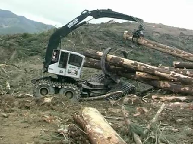 What is biomass? — Science Learning Hub