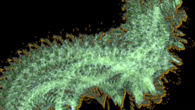 Fractal Snake Shape Dandruff Wave - Free video on Pixabay