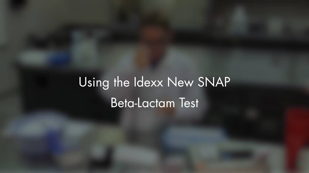 Using the Idexx New Snap Beta-Lactam Test on Vimeo