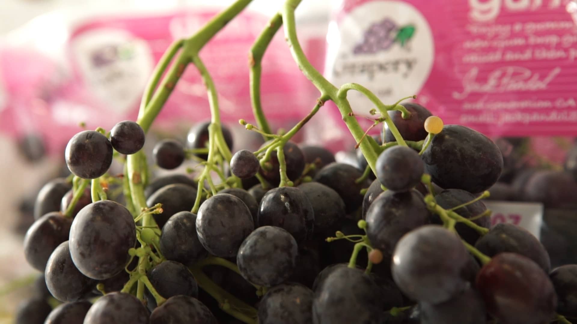 Grapery GumDrops Grapes on Vimeo