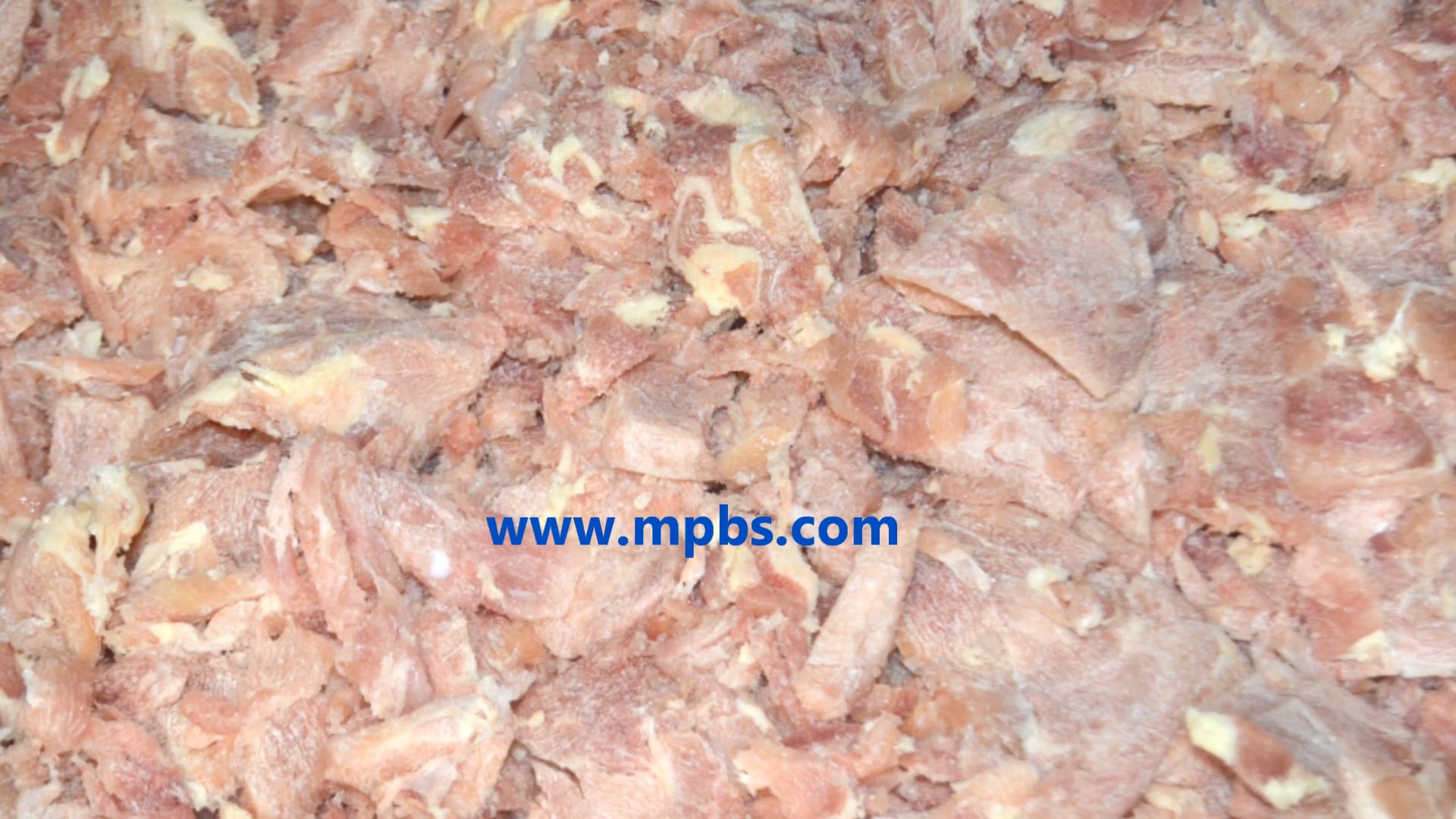 MPBS Industries - Butcher Boy MF-1500 Frozen Block Meat Flaker - Frozen ...
