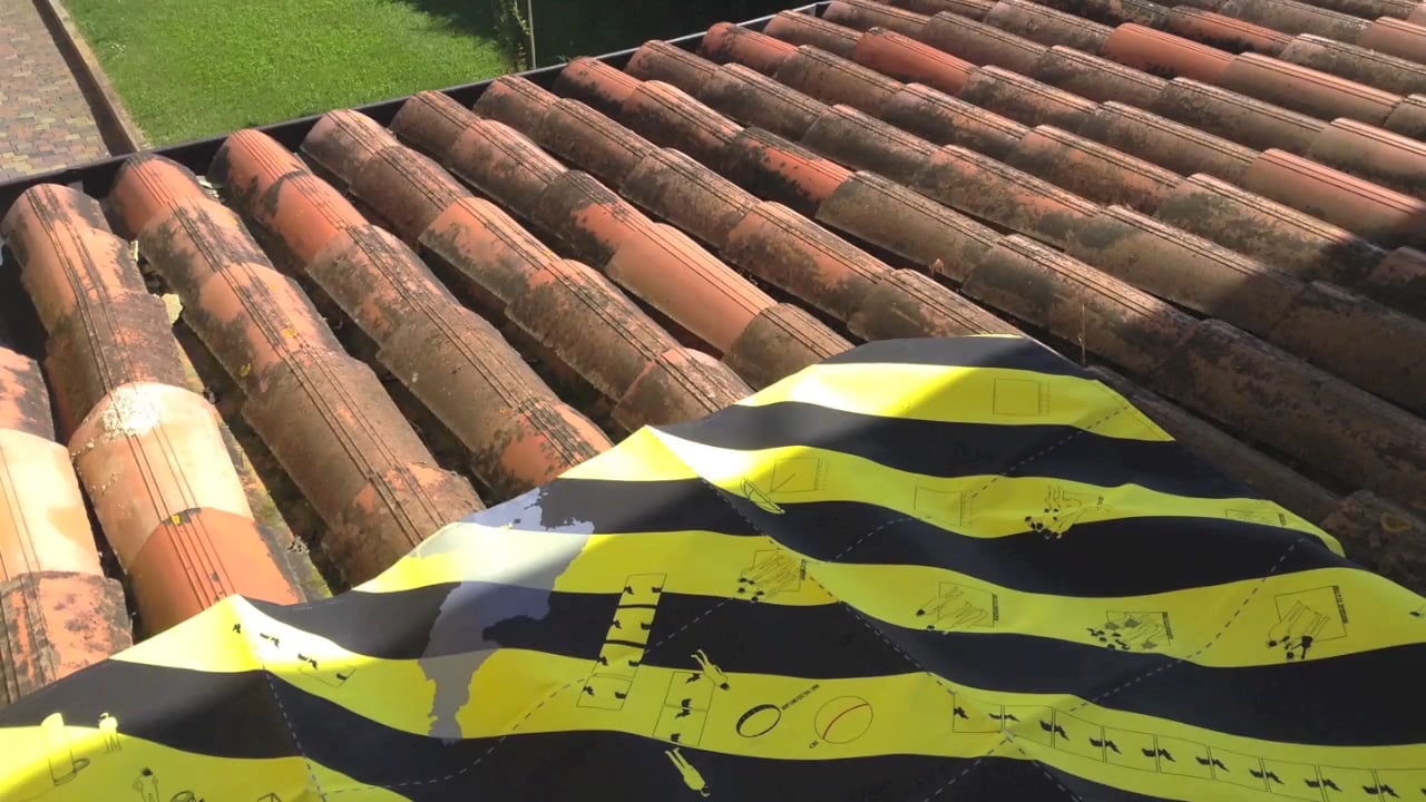 BORROWED DOTJARI on Vimeo