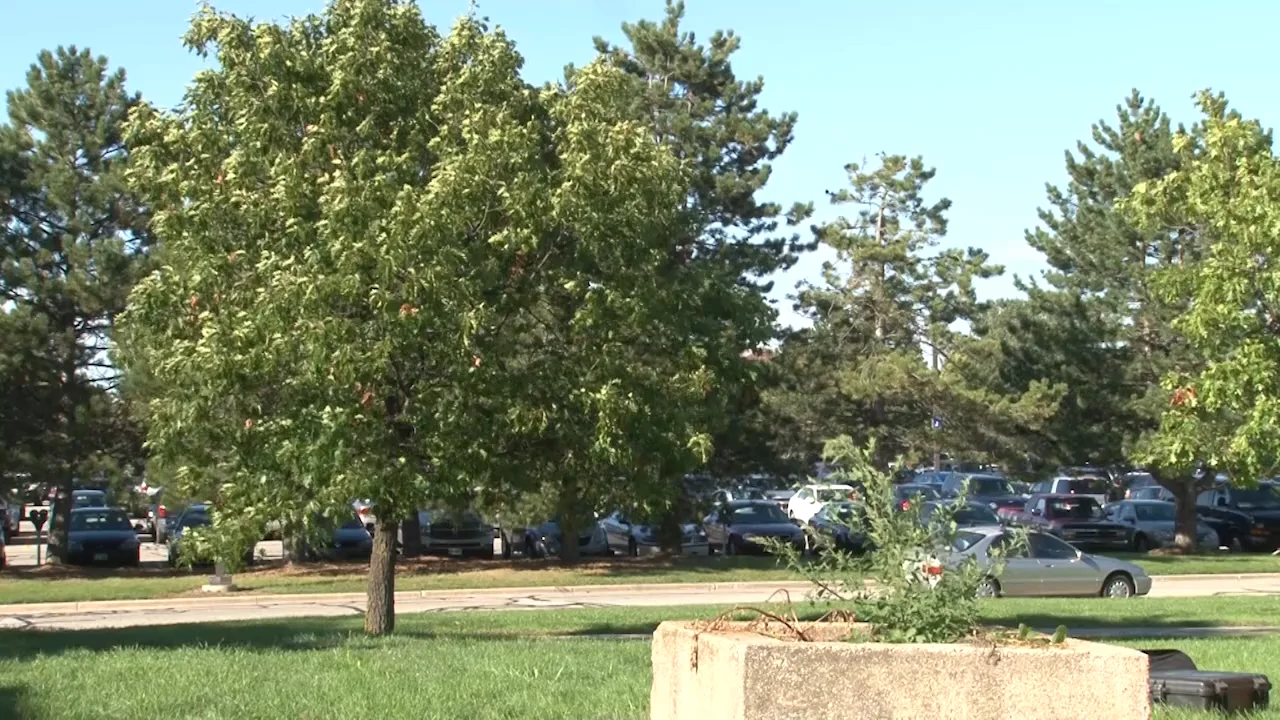 Vimeo visual variety on Vimeo