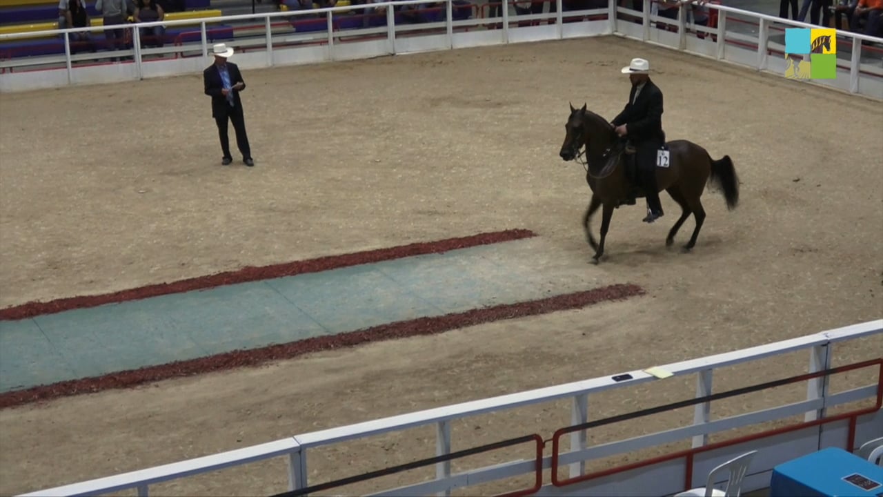 Tormenta del Encanto- Campeonatos Nacionales Elpidio Nuñez 2016 on Vimeo