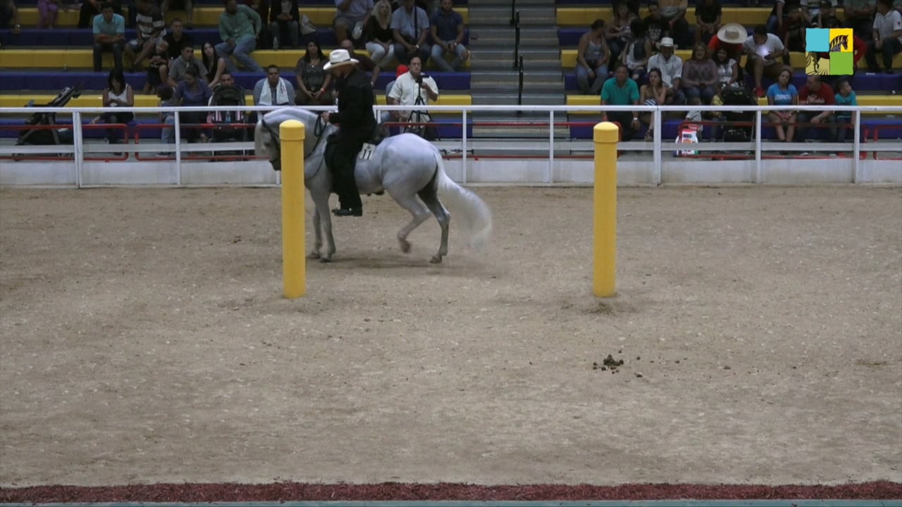 El Santo del Orégano- Campeonatos Nacionales Elpidio Nuñez 2016 on Vimeo