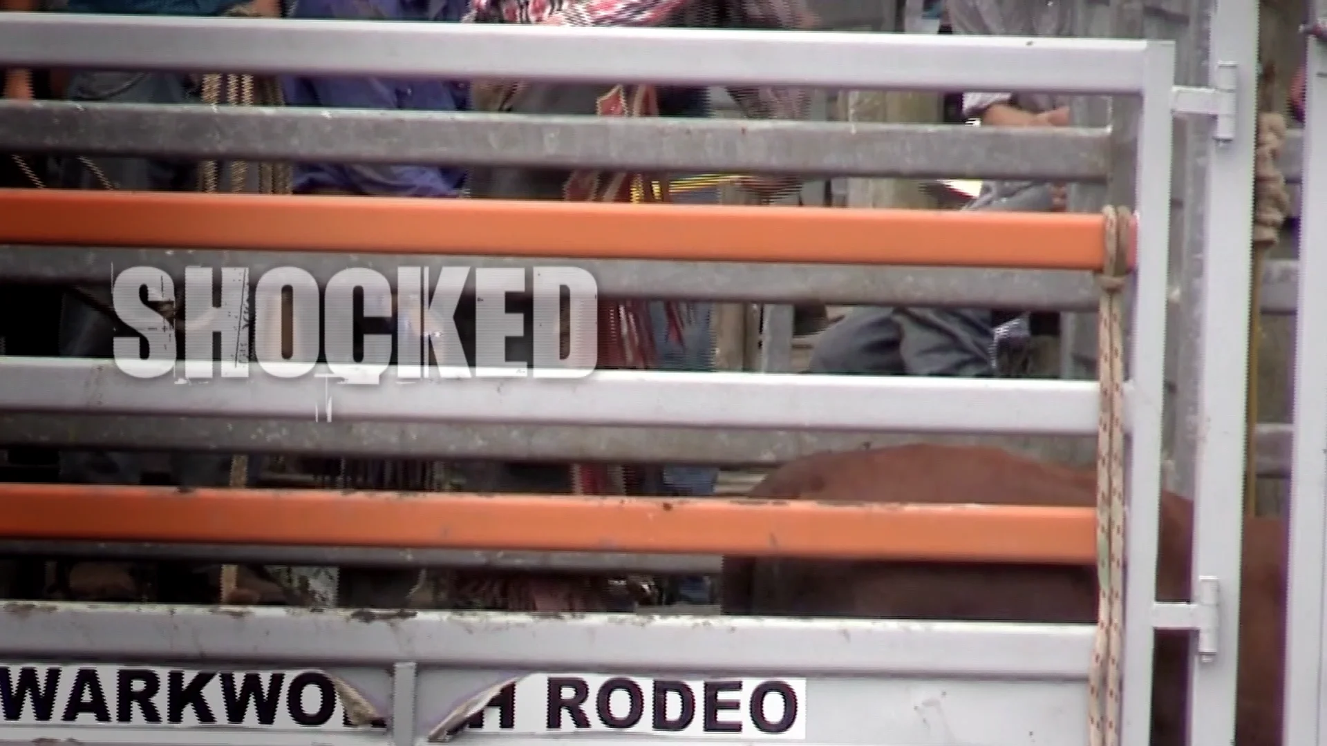 THIS IS RODEO_WARKWORTH RODEO 2016 on Vimeo