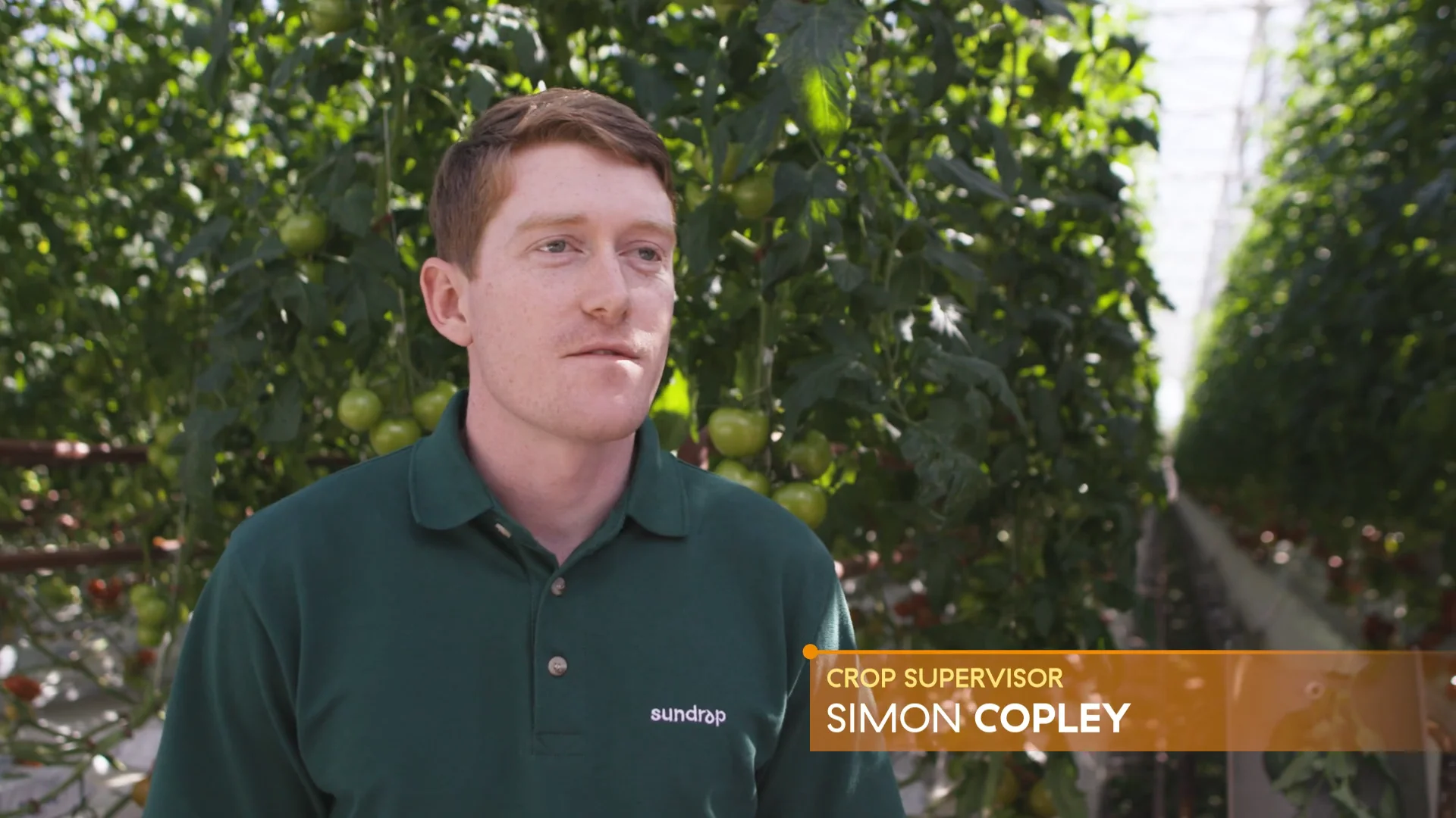 Osmosis Films References for Northeastern University - Sundrop: Simon ...