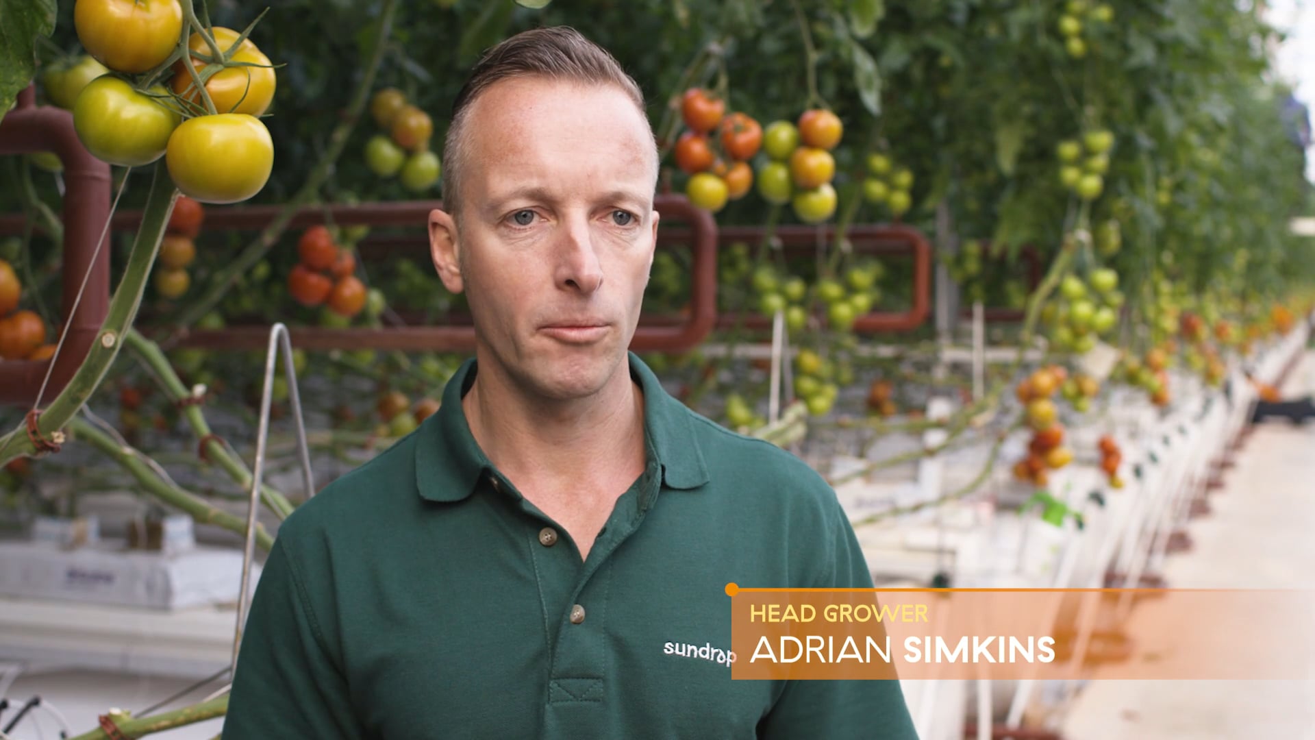 Osmosis Work Samples for SARE - Sundrop: Adrian Simkins - Head Grower ...